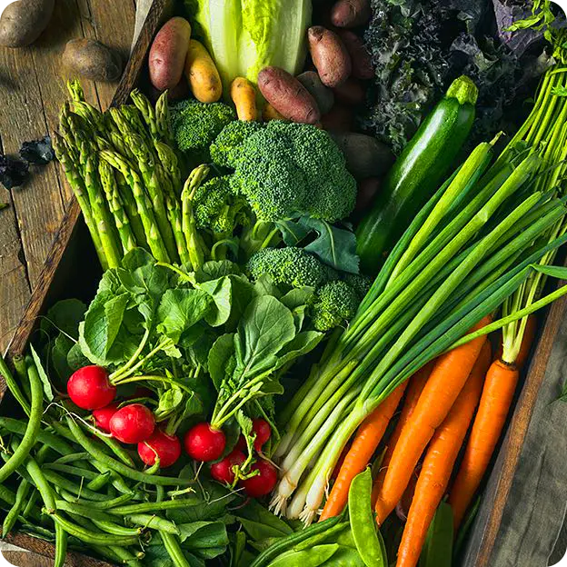 VeggieGest™ - Enzyme for Vegan and Raw Diets