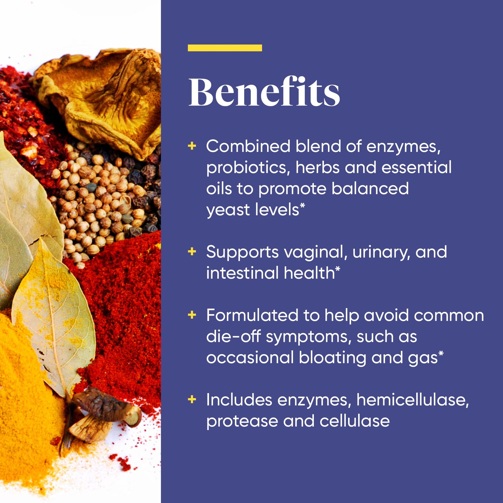 Candidase™ Extra Strength - Enzymes for Maintaining Healthy Levels of ...