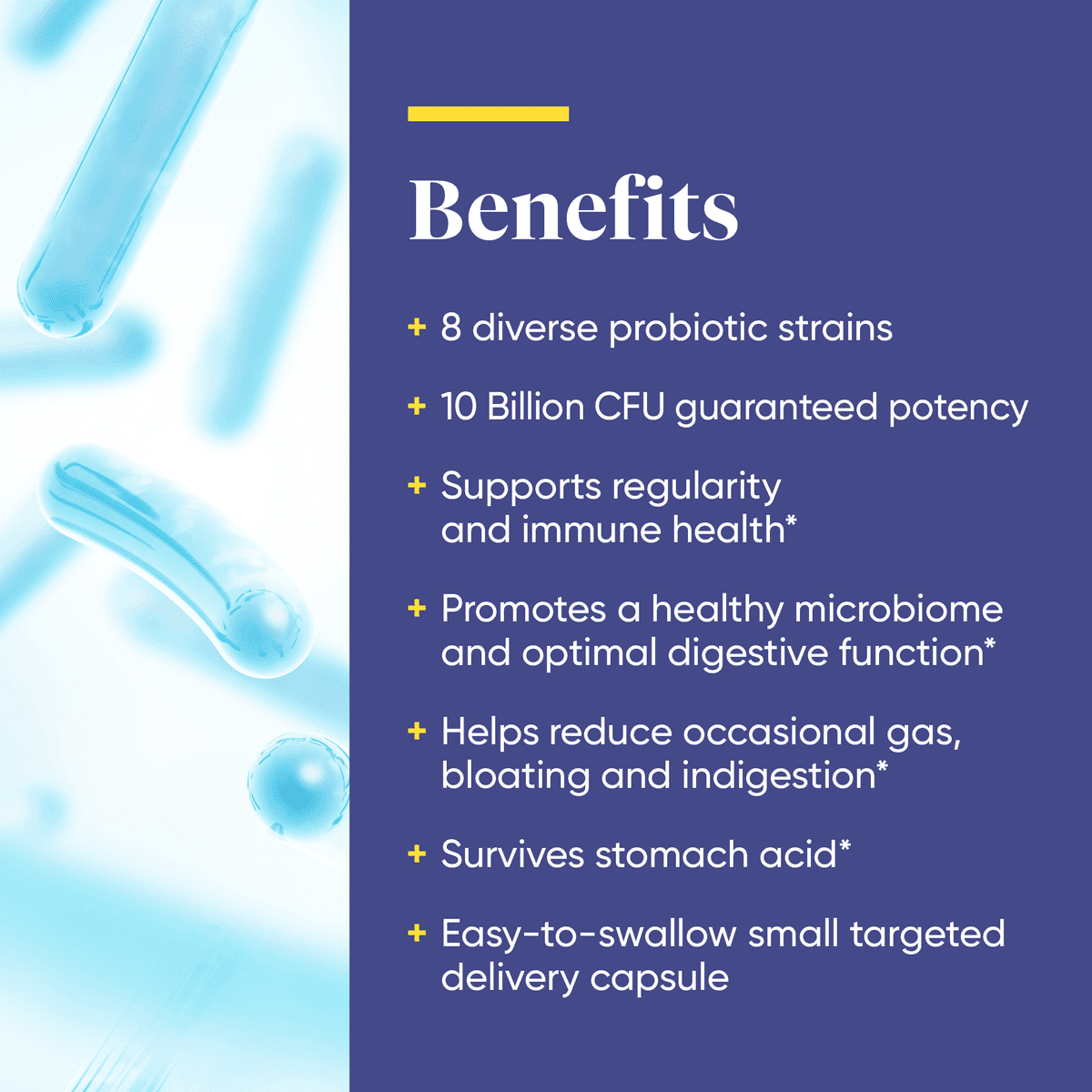 Pro-Bio™ - Keep a balanced environment of Intestinal Flora – Enzymedica®