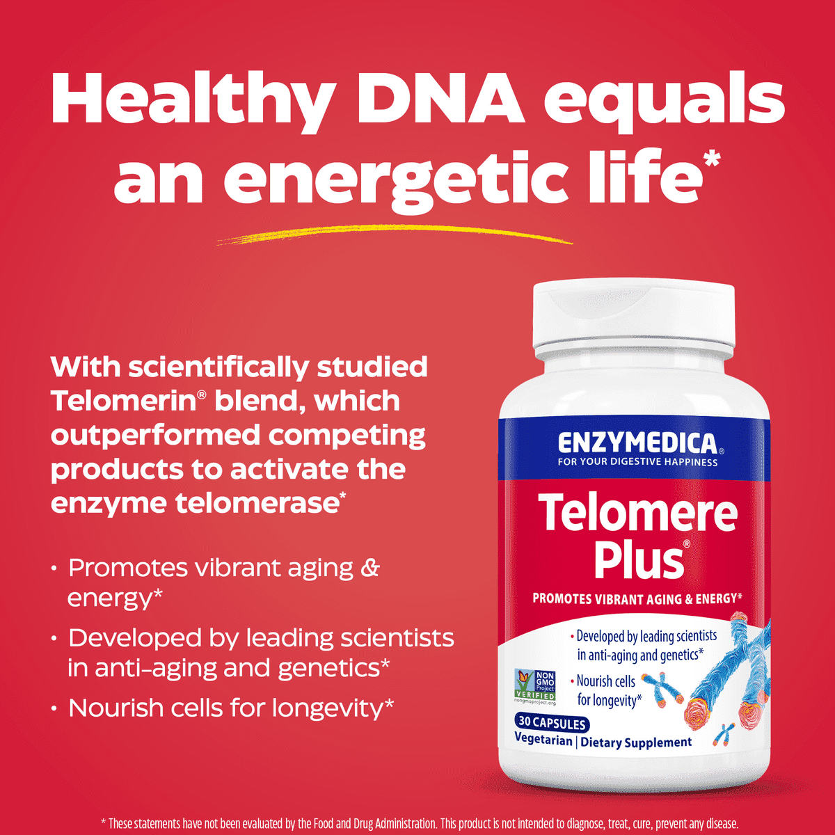 Telomere Plus™ - Enzyme to Increase Telomerase Activity – Enzymedica®