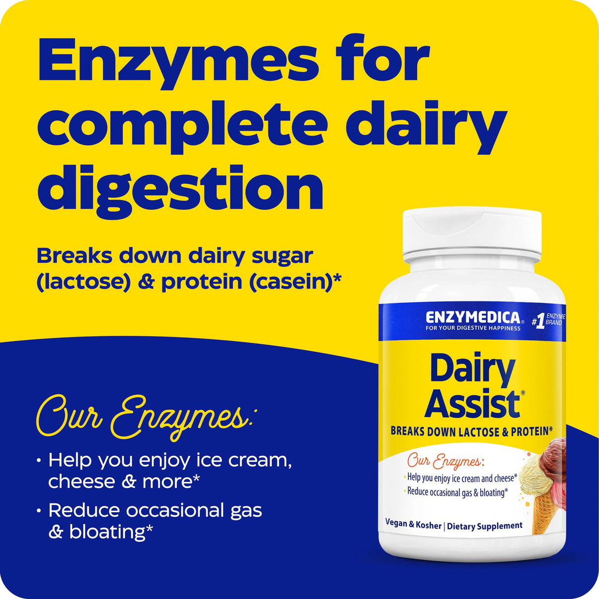 DairyAssist™ - Enzymes for Complete Dairy Digestion – Enzymedica®